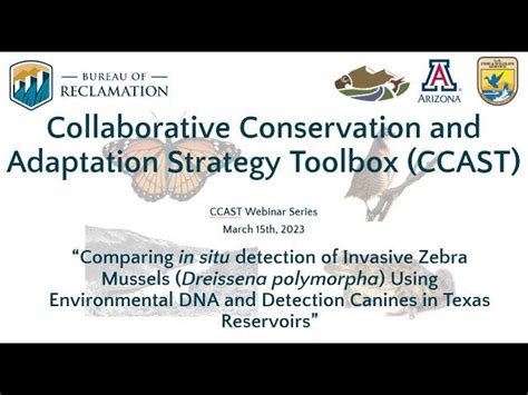 Free Video Comparing In Situ Detection Of Invasive Zebra Mussels Using