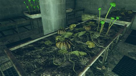 Where To Find Gourds In Fallout 76 Gamepur