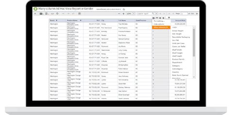 Statistical Reporting Web