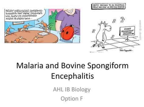 Malaria And Bovine Sponorm Encephalitis Pptx