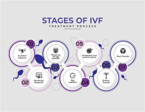 Ivf Treatment Process Benefits And Risk Ankuran