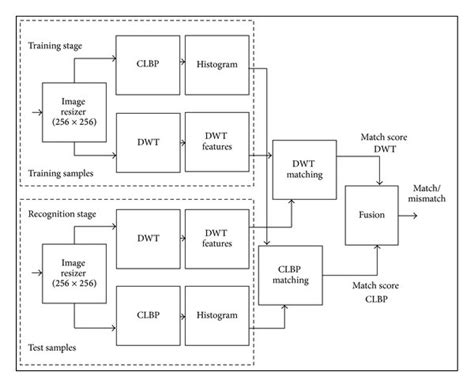 Block Diagram Of The Proposed Fingerprint Recognition System Download Scientific Diagram
