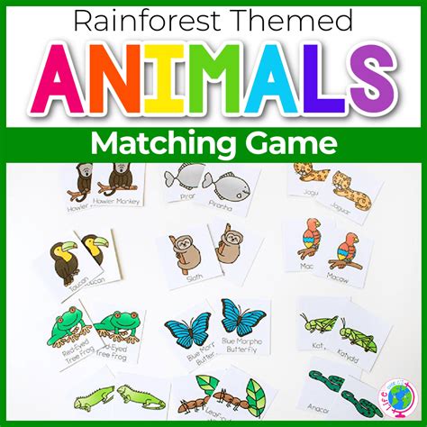 Matching Activities Rainforest Theme Life Over Cs Club