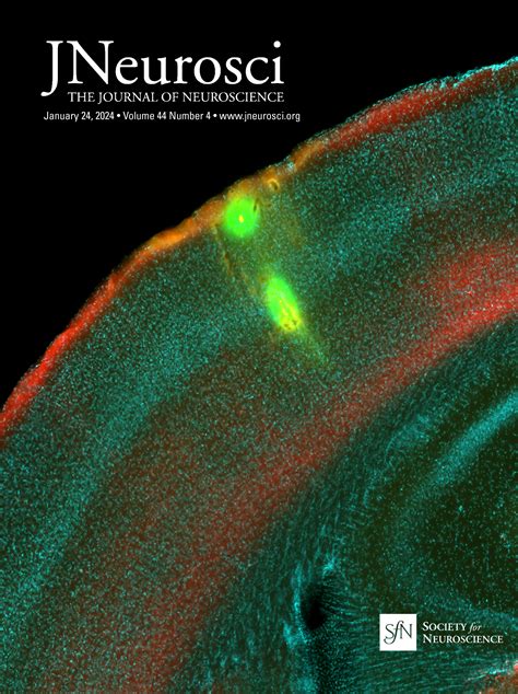 This Week In The Journal Journal Of Neuroscience