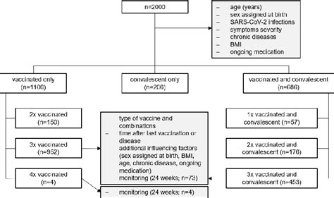 Figure 1 From Factors Affecting Sars Cov 2 Igg Production After