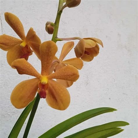 Eleena Thomas Posted On Linkedin