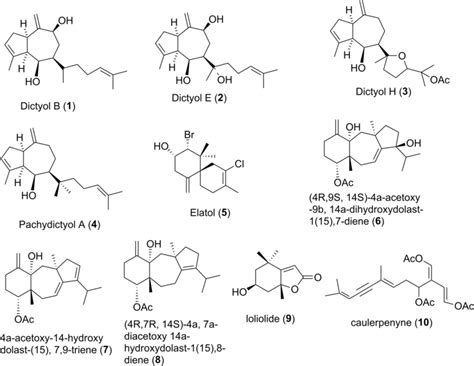 Chemical Structure Of Seaweeds Terpenoid Having Chemical Defense Download Scientific Diagram