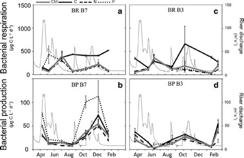Rates Of Bacterial Respiration Br And Bacterial Production Bp In