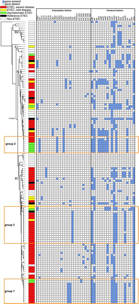 A Core Genome Single Nucleotide Polymorphism Snp Phylogeny Of Etec