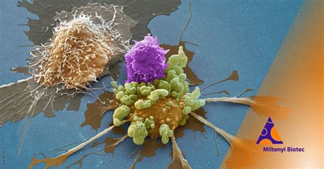 Events London Research Dontgetlostintranslation Caitlyn Martin