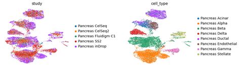 Reference Maping Using Scgen Scarches Documentation