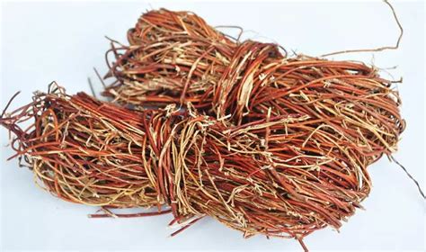 Dampness Reducing Medicine·chicken Bone Grass Faxne