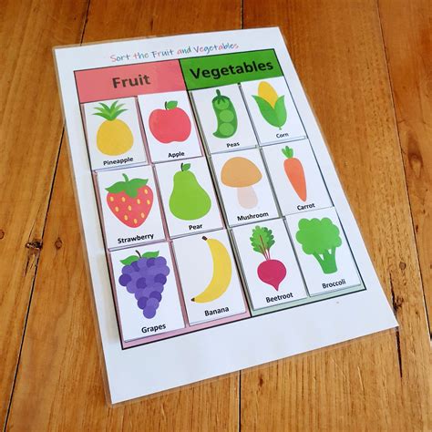 Fruit And Vegetable Sorting Printable Busy Book Education Homeschool