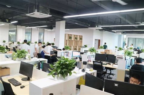 Junhui Labubu Glasses Little Rag Doll Salon Metal Glasses