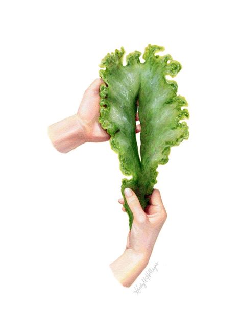 Illustrated Hands — Kendyll Hillegas