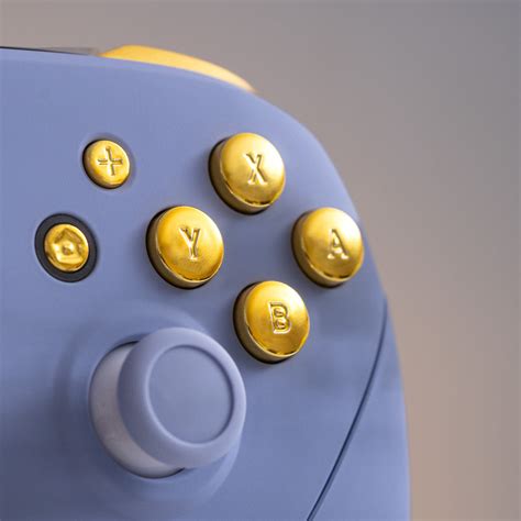 Nintendo Switch Pro Controller Mod Violet With Gold Buttons Customized Gametraderzero