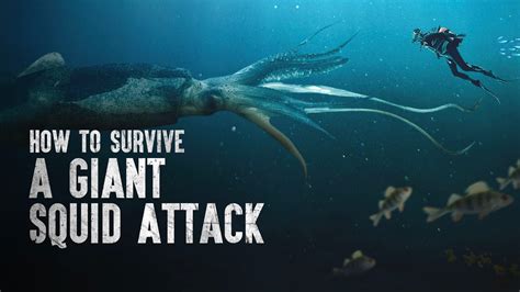 Giant Squid Attack How To Survive For Scuba Divers