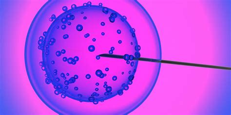 Problems And Dilemmas In Bioethics · Courses · College Of The Atlantic