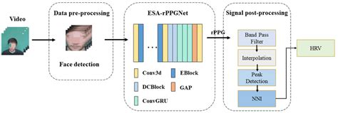 Proposed Hrv Analysis Framework Using Esa Rppgnet Download