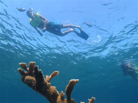 Snorkeling Varadero Tour