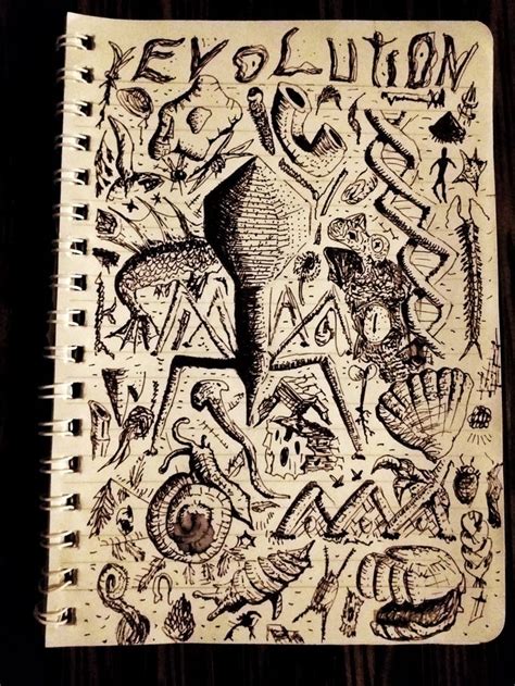 Evolution Sketches Evolution Personalized Items