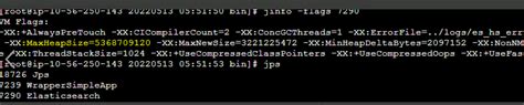 Jvm Max Heap Size On System Info Page Not Equal To Config In Sonar Properties SonarQube Server
