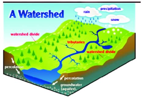 Watershed Diagram Watershed Movements