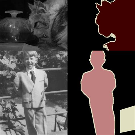Fine Tuning Segformer For Multi Class Segmentation