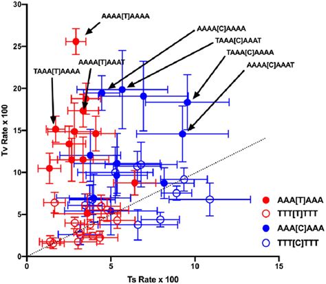 Transition And Transversion Rates Across Different N 4 Dinucleotides