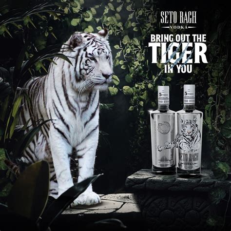 Seto Bagh Vodka Seto Bagh Vodka Bring Out The Tiger In