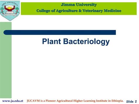 Plant Bacteriologyppt Biological Sciences Science