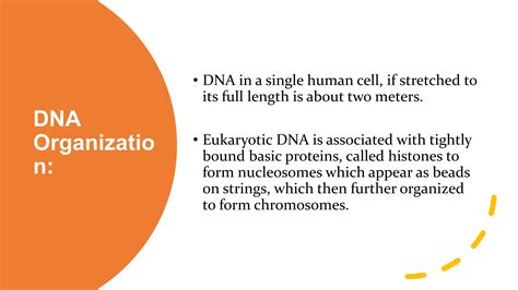 Nucelic Acid Chemistry And Dna Structurepptx