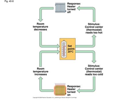 Negative Feedback Loop Thermostat