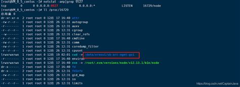 linux、centos通过端口号或者程名查看进程所在目录等详细信息 centos 查看进程及端口号 csdn博客