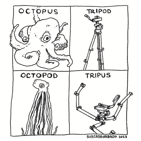 Does This Count As Convergent Evolution F Newsmagazine