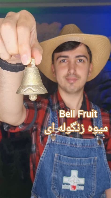 ‎نهال پلاس🌱 نهال میوه های کمیاب‎ ‎پنج تا میوه ی لیمو انگشتی قرمز،هد