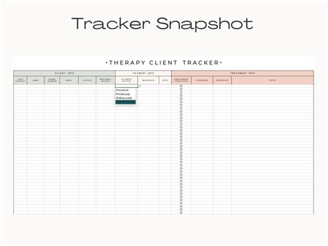 Therapy Client Tracker Excel Client Tracker Social Work Client