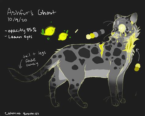 Ashfurs Ghost Reference By Catmintbrownies On Deviantart