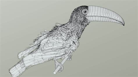 Toco Toucan 3d Model By Nestaeric