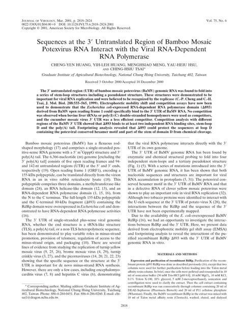 Pdf Sequences At The 3 Untranslated Region Of Bamboo Mosaic Potexvirus Rna Interact With The