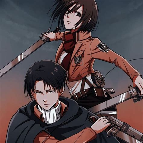 Levi X Mikasa Matching Icon Animasi Gambar Animasi Kartun Gambar Profil