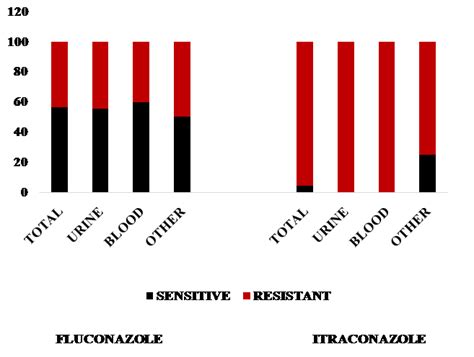 Drug Sensitivity Analysis The Figure Shows Drug Sensitivity Profiles