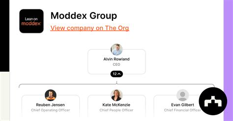 Moddex Group The Org