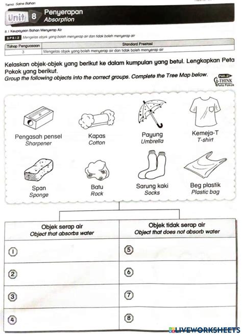 Absorption Penyerapan Worksheet Live Worksheets Worksheets Library