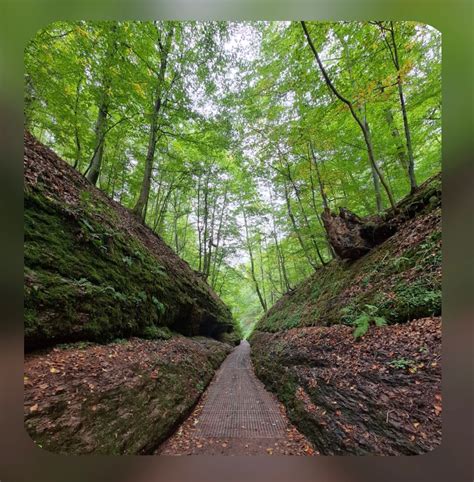 Die Neuen Bei Sandra Eckhardt Coaching Plus Sandra Eckhardt