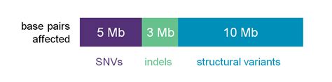Structural Variation Pacbio