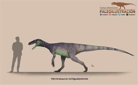 10 Triassic Dinosaurs You Should Know