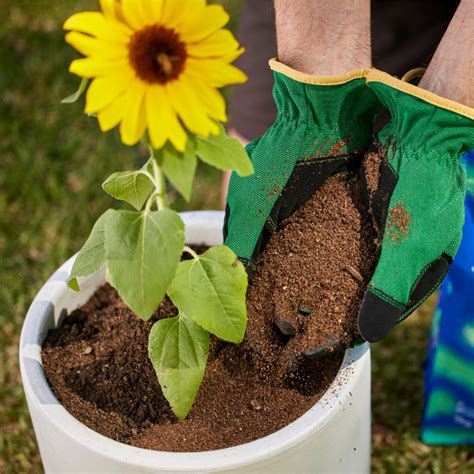 All Purpose Organic Fertiliser And Soil Enhancer Bardee