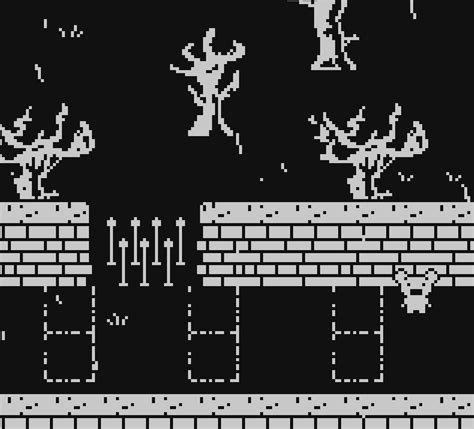 Bo By Wardius Rolandopt