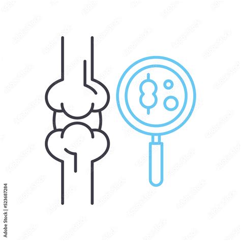 Bone Densitometry Test Line Icon Outline Symbol Vector Illustration Concept Sign Stock Vector